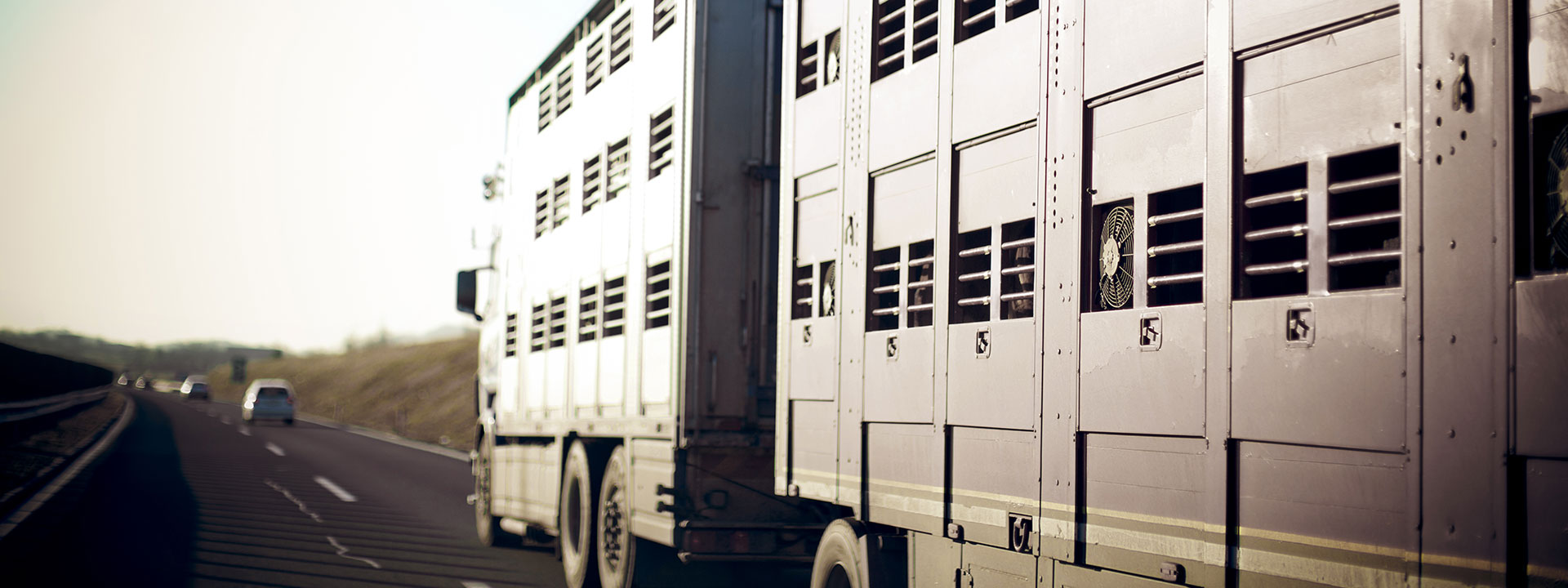 Guarantee Tracing system SKV (GTSKV) – SKV